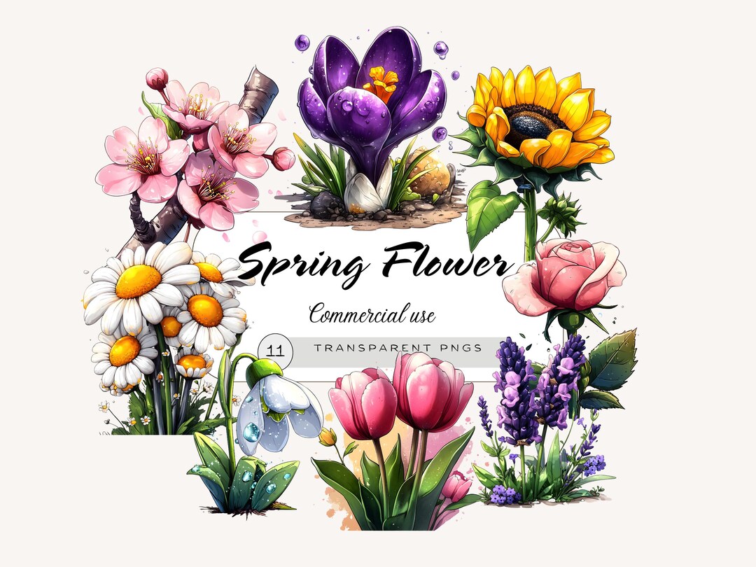 Watercolor Spring Flower Clipart Set | Botanical PNG Bundle (digital ...