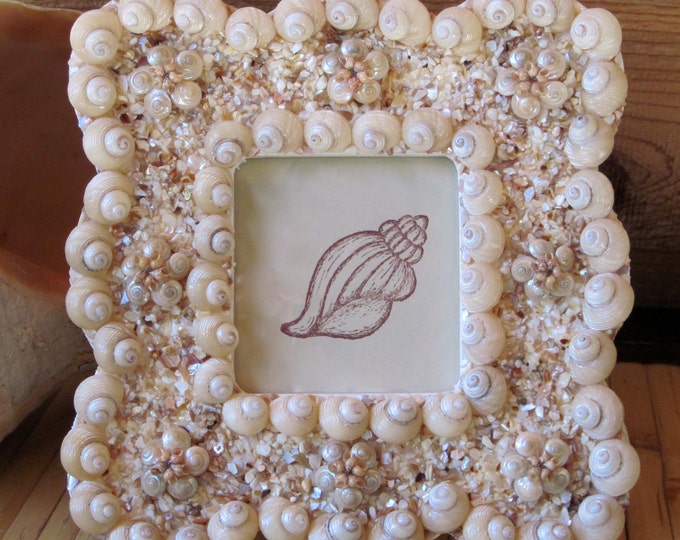 Seashell Picture Frame - Etsy