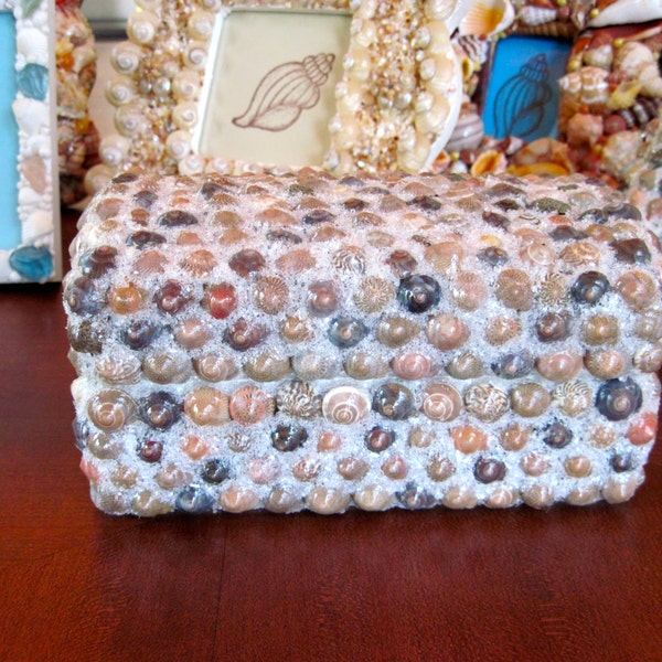 Seashell Box - Etsy