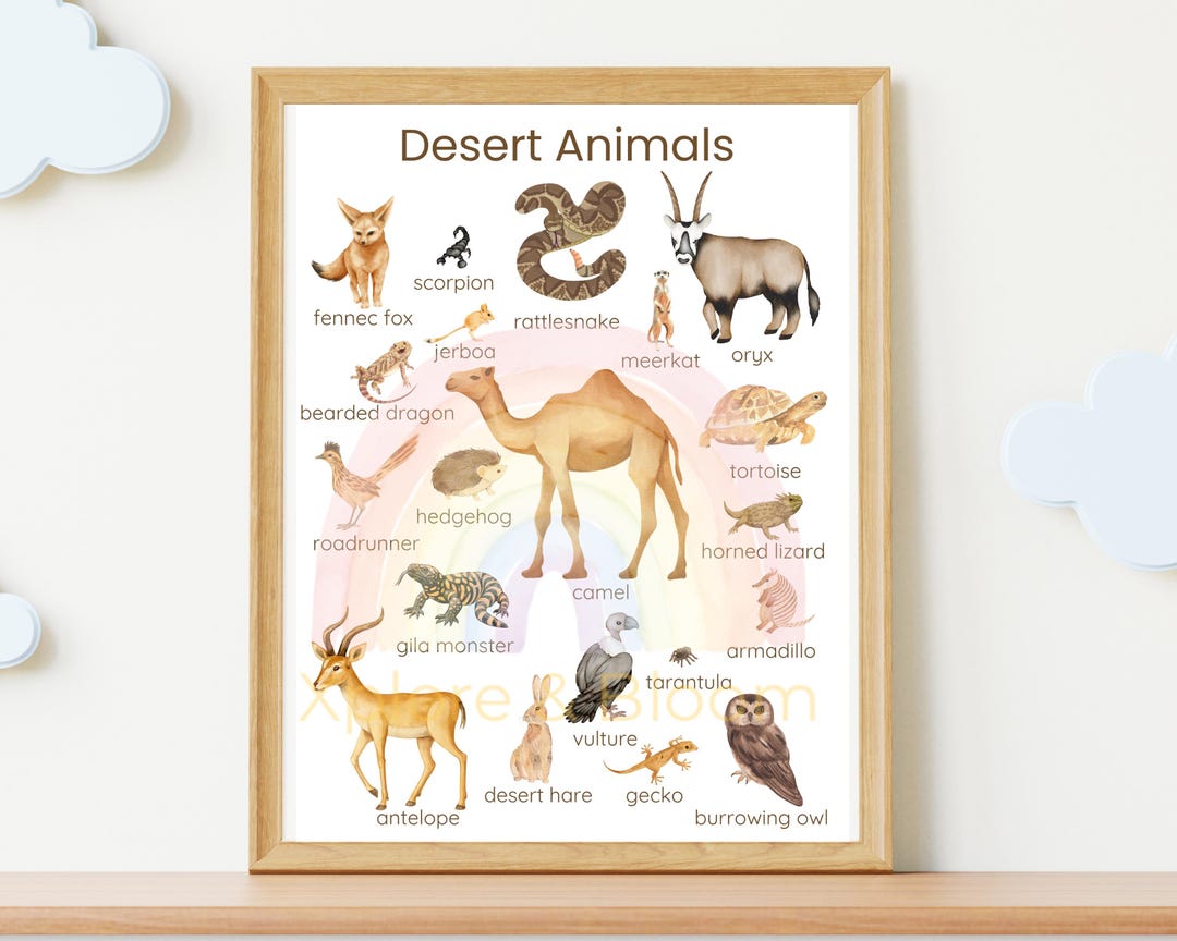 Desert Animals Poster | Educational Wall Art for Kids | Nursery Print ...