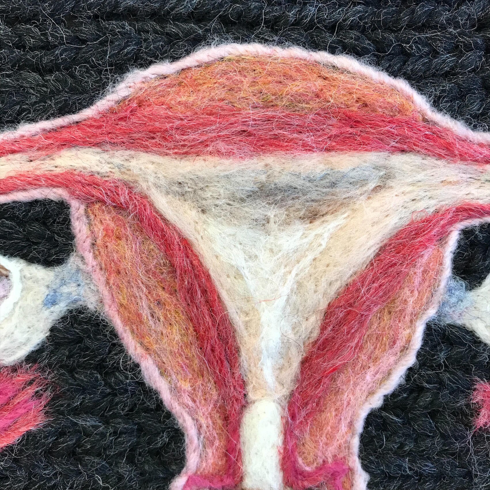 Human Female Reproductive System: A Study in Wool - Etsy Canada
