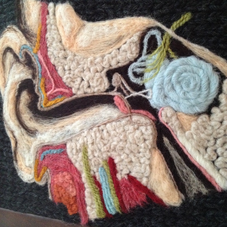 Anatomical Study of the Inner Ear in Wool - Etsy UK