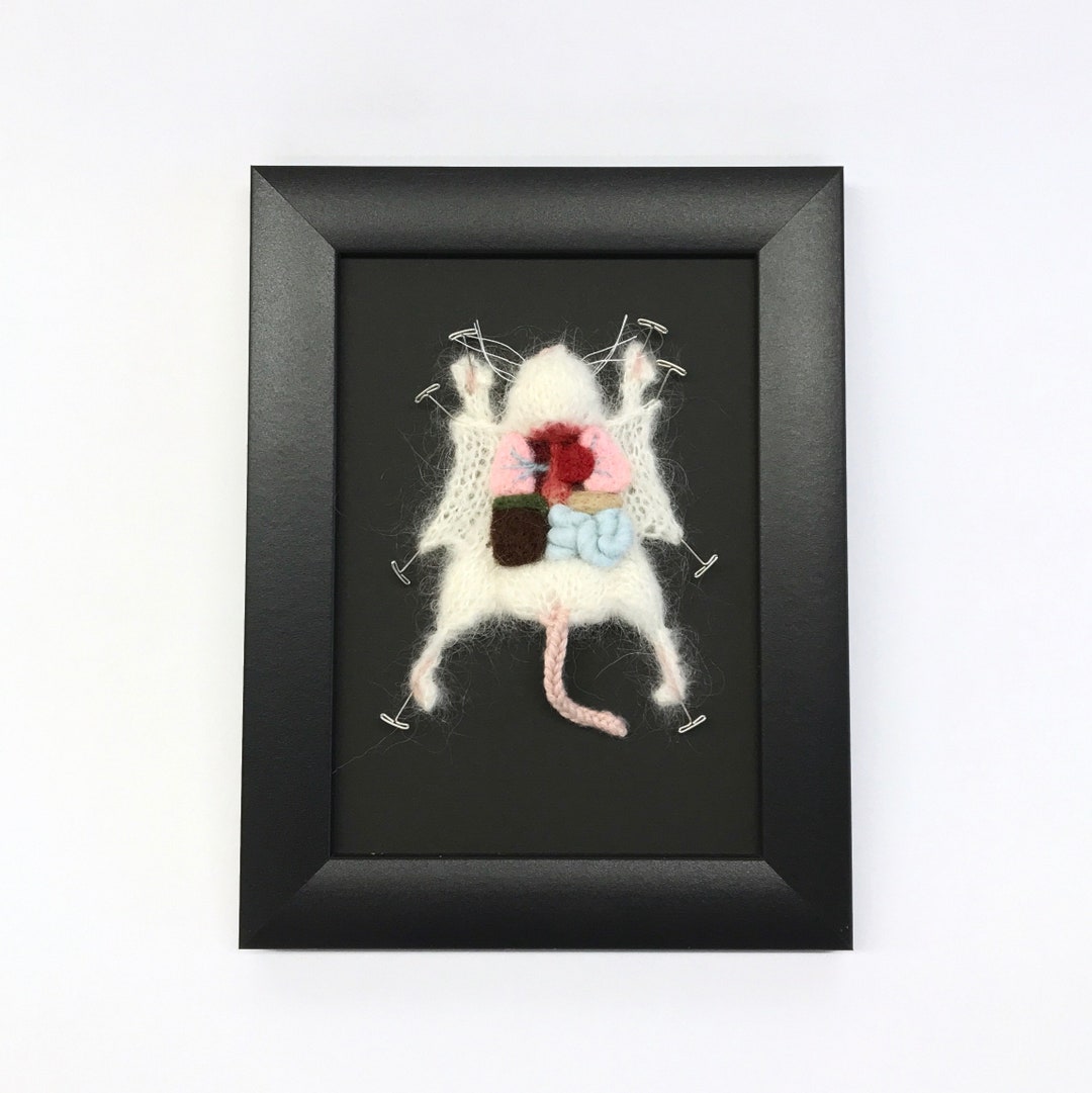 Miniature Knitted Lab Rat Dissection - Etsy