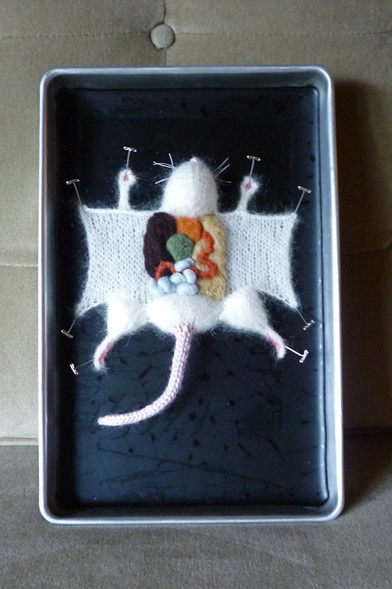 Knitted Lab Rat Pattern PDF - Etsy UK