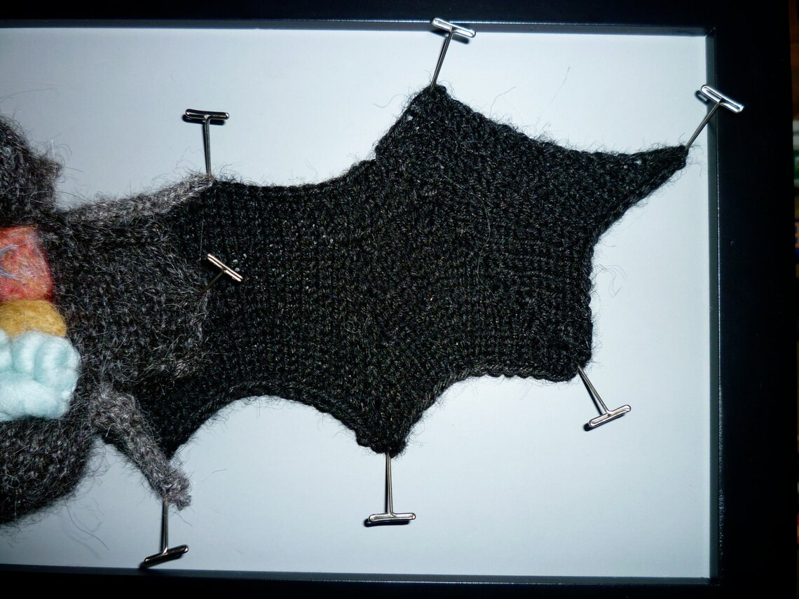Knitted Dissected Bat Specimen - Etsy