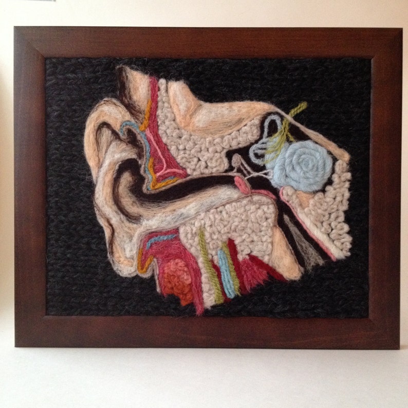 Anatomical Study of the Inner Ear in Wool - Etsy UK