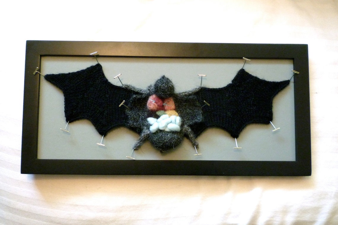 Knitted Dissected Bat Specimen - Etsy
