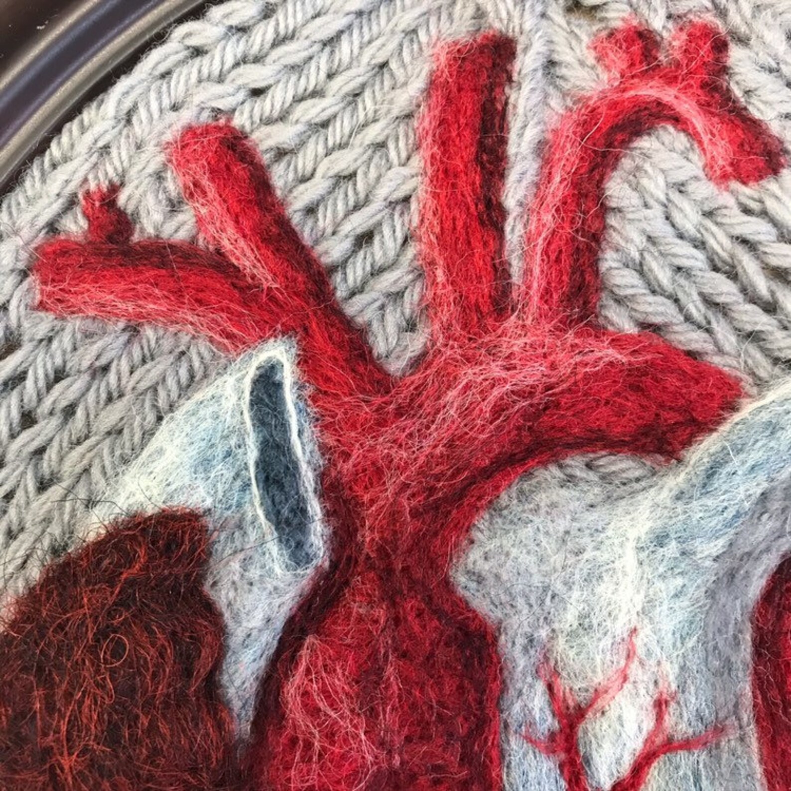 The Human Heart: an Anatomical Illustration in Wool - Etsy