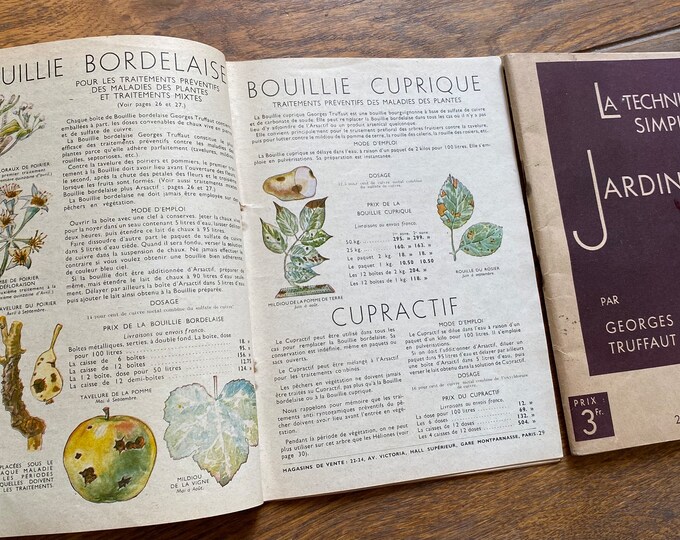 New Stock Amazing Pair of Lovely 1938/9 French Plants Flowers ...