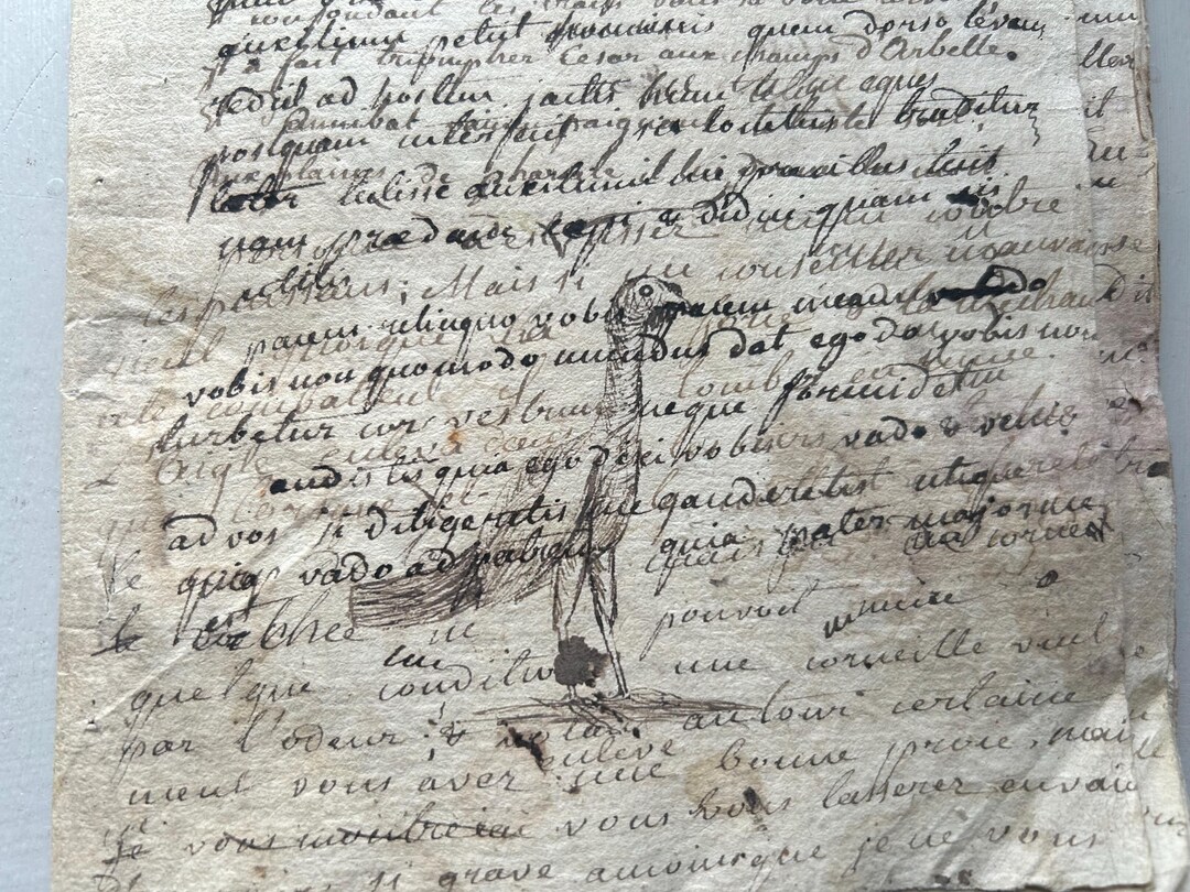 NEW STOCK Absolutely Stunning Antique 1800 French Doodles Parchment ...