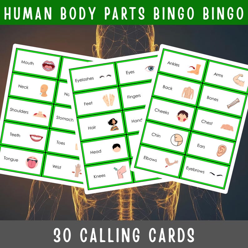 Human Body Parts Bingo Game | Anatomy Learning Activity for Kids ...