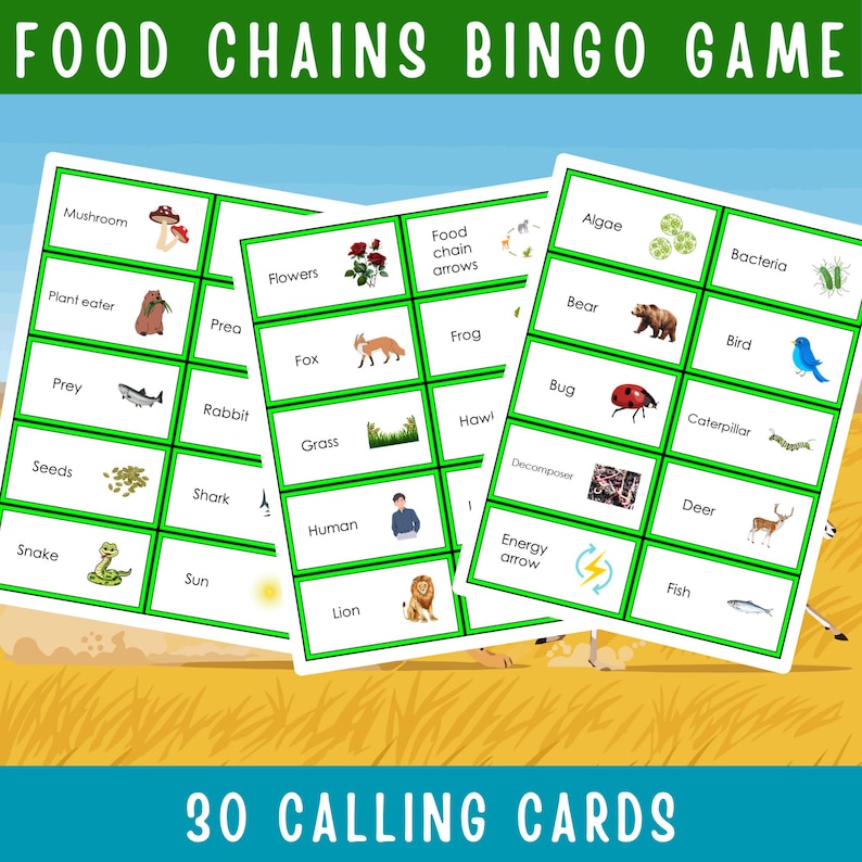 Food Chains Bingo Game | Printable Science Activity for Kids, Classroom ...