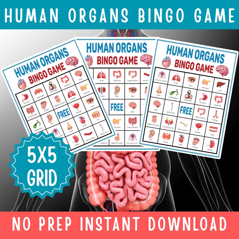 Human Organs Bingo Game Printable Anatomy Activity for Kids Classroom ...