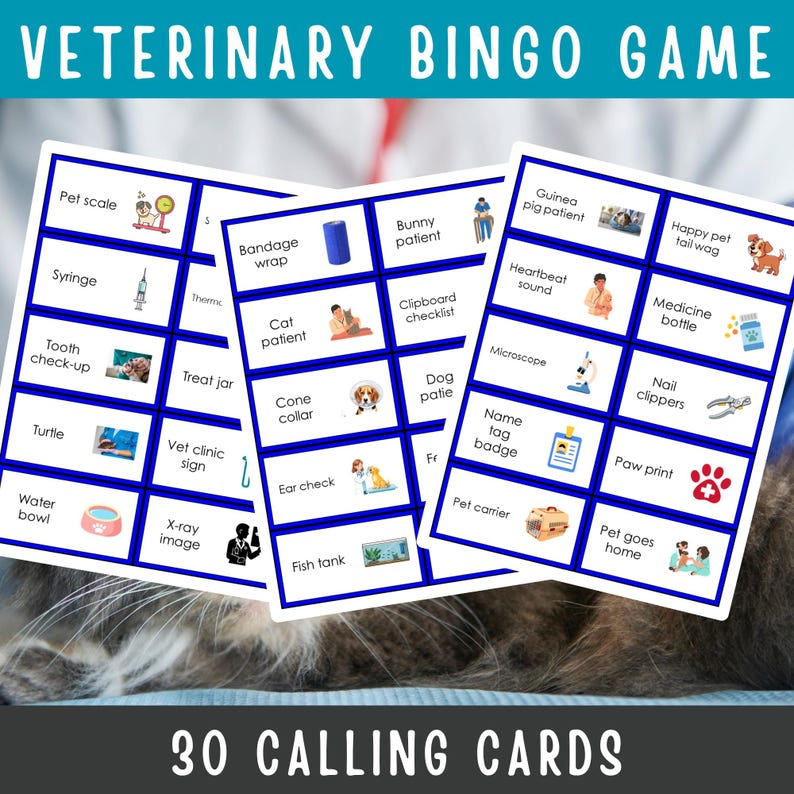 Veterinary Bingo Game Printable Animal Care Vet Clinic Activity for Kids Classroom Science ...