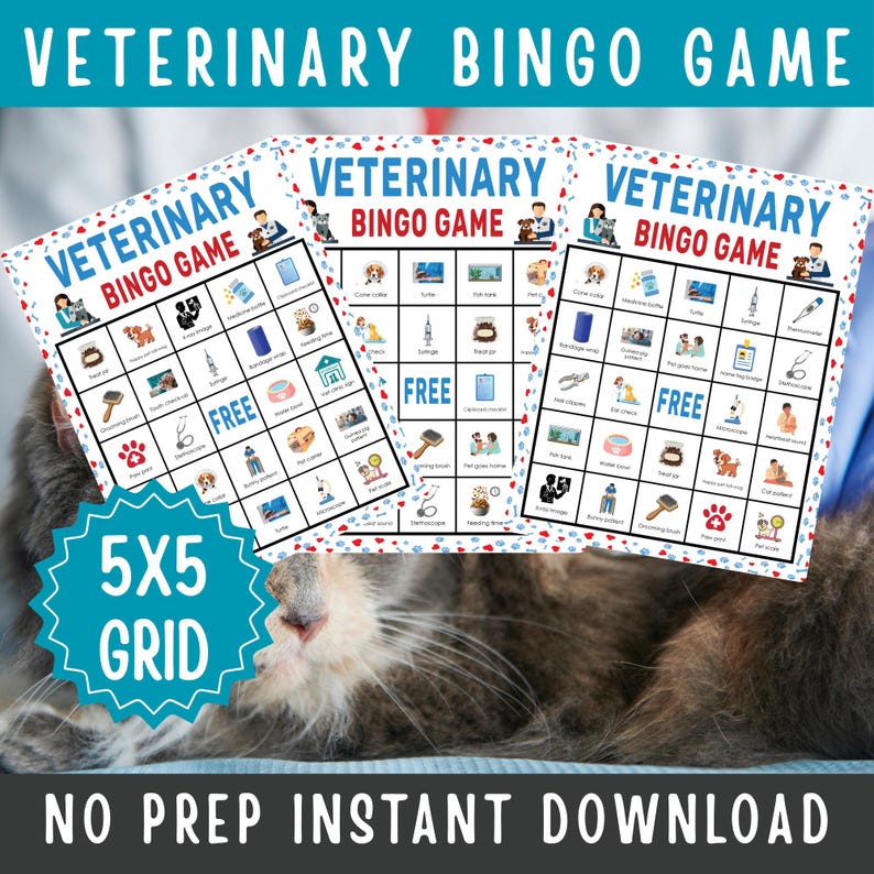 Veterinary Bingo Game Printable Animal Care Vet Clinic Activity for ...