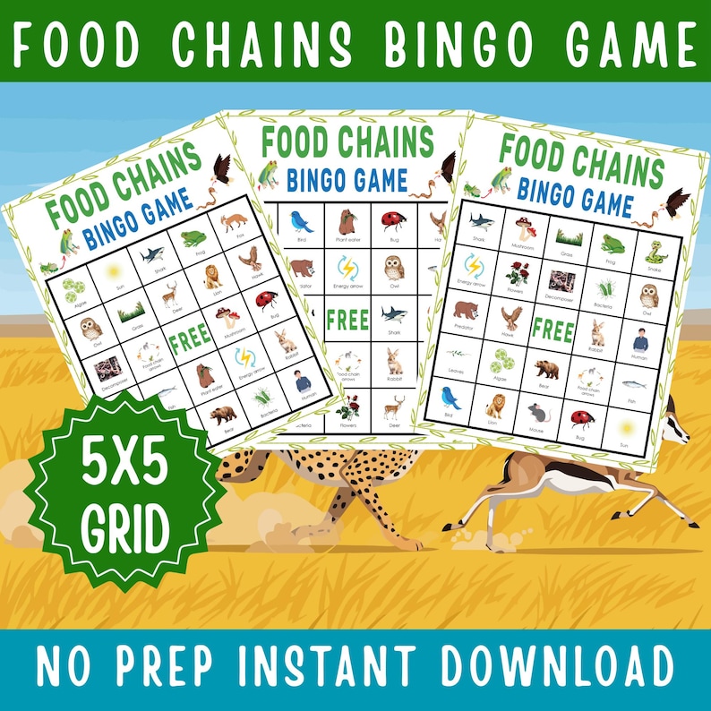 Food Chains Bingo Game | Printable Science Activity for Kids, Classroom ...