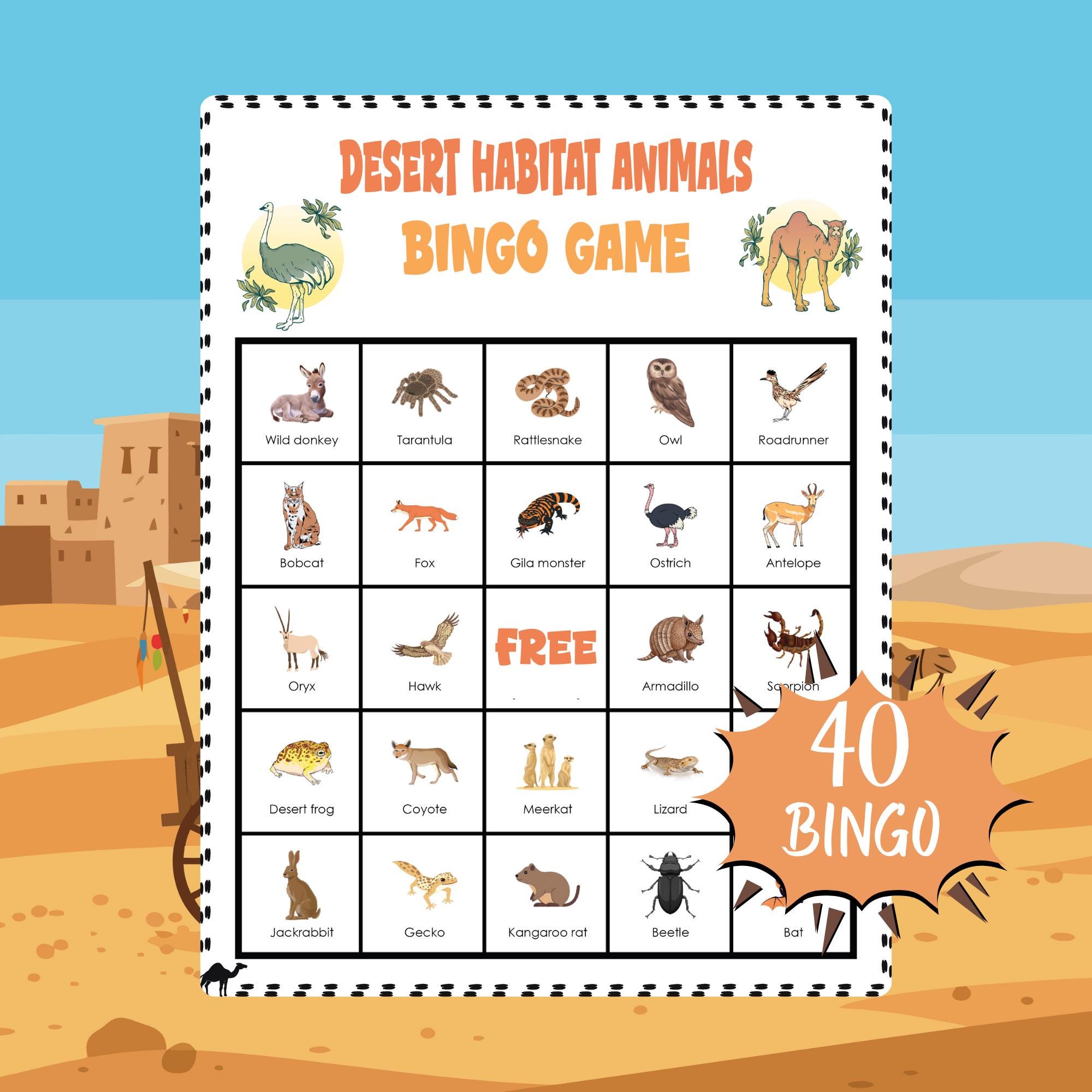 Desert Habitat Animals For Kids