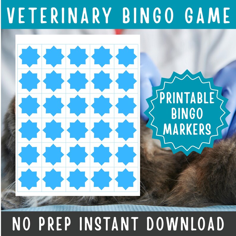 Veterinary Bingo Game Printable Animal Care Vet Clinic Activity for ...