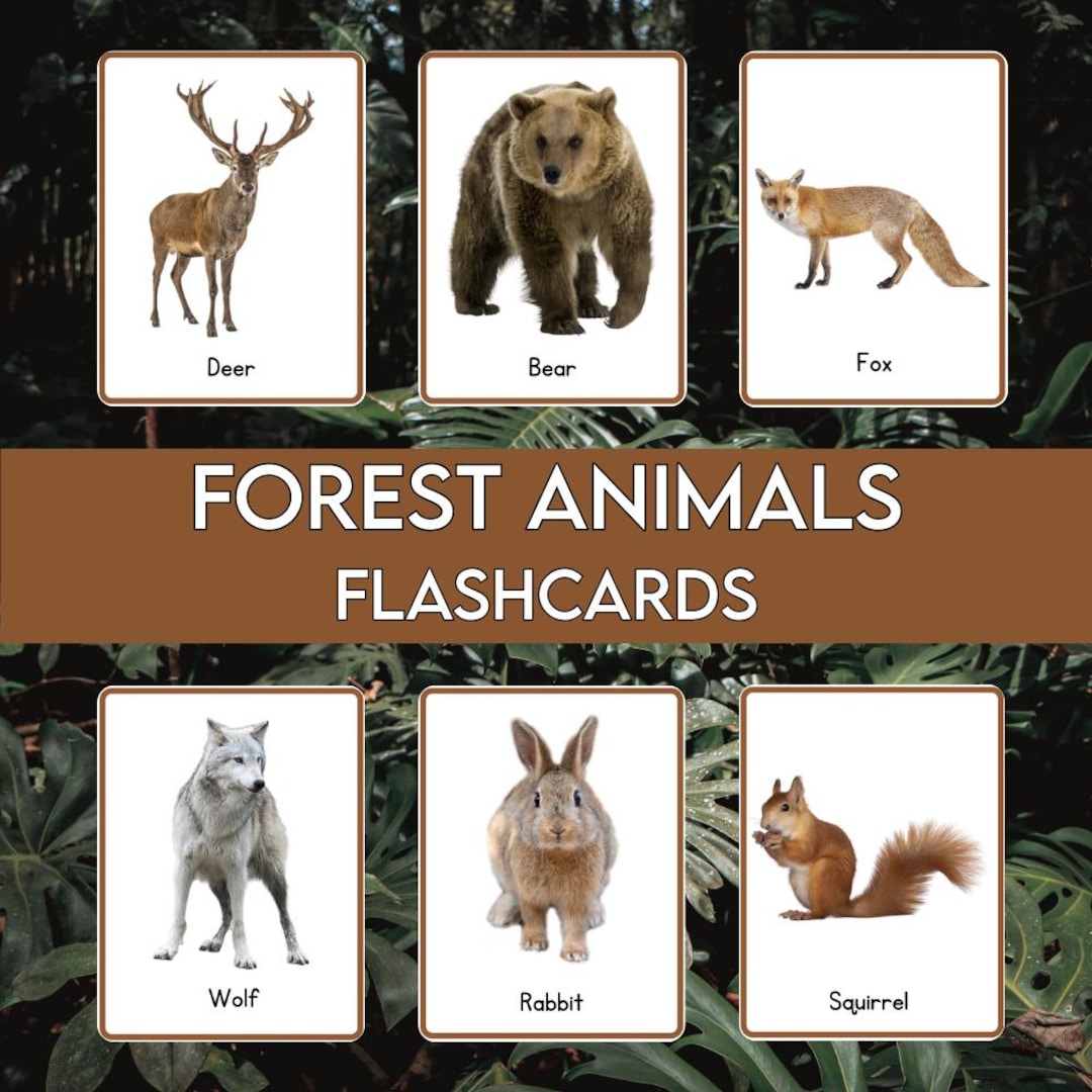 Forest Animals Flashcards Printable for Kids | Woodland Animal ...