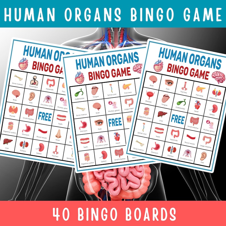 Human Organs Bingo Game Printable Anatomy Activity for Kids Classroom ...