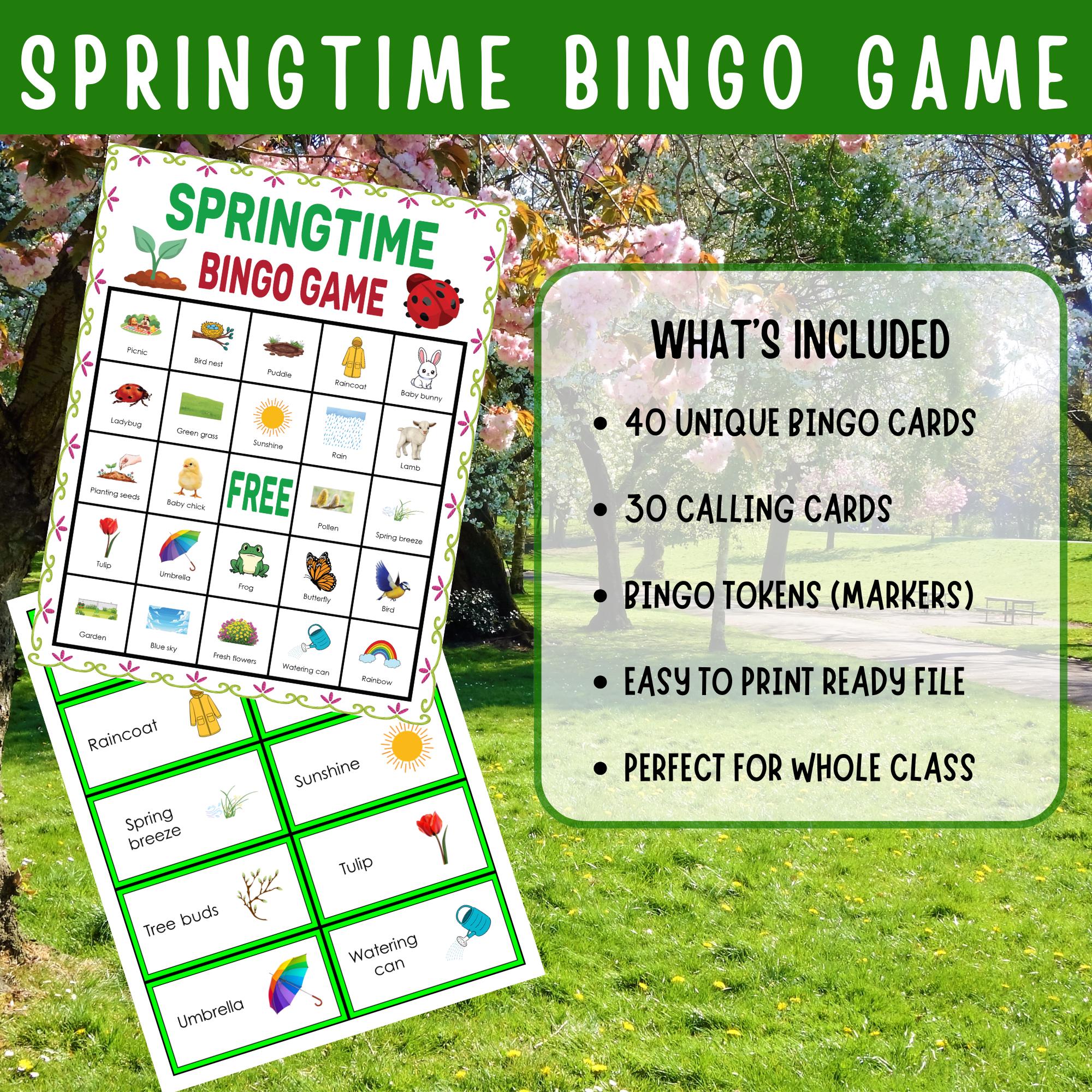 Springtime Bingo Game Printable Seasonal Nature Activity for Kids ...