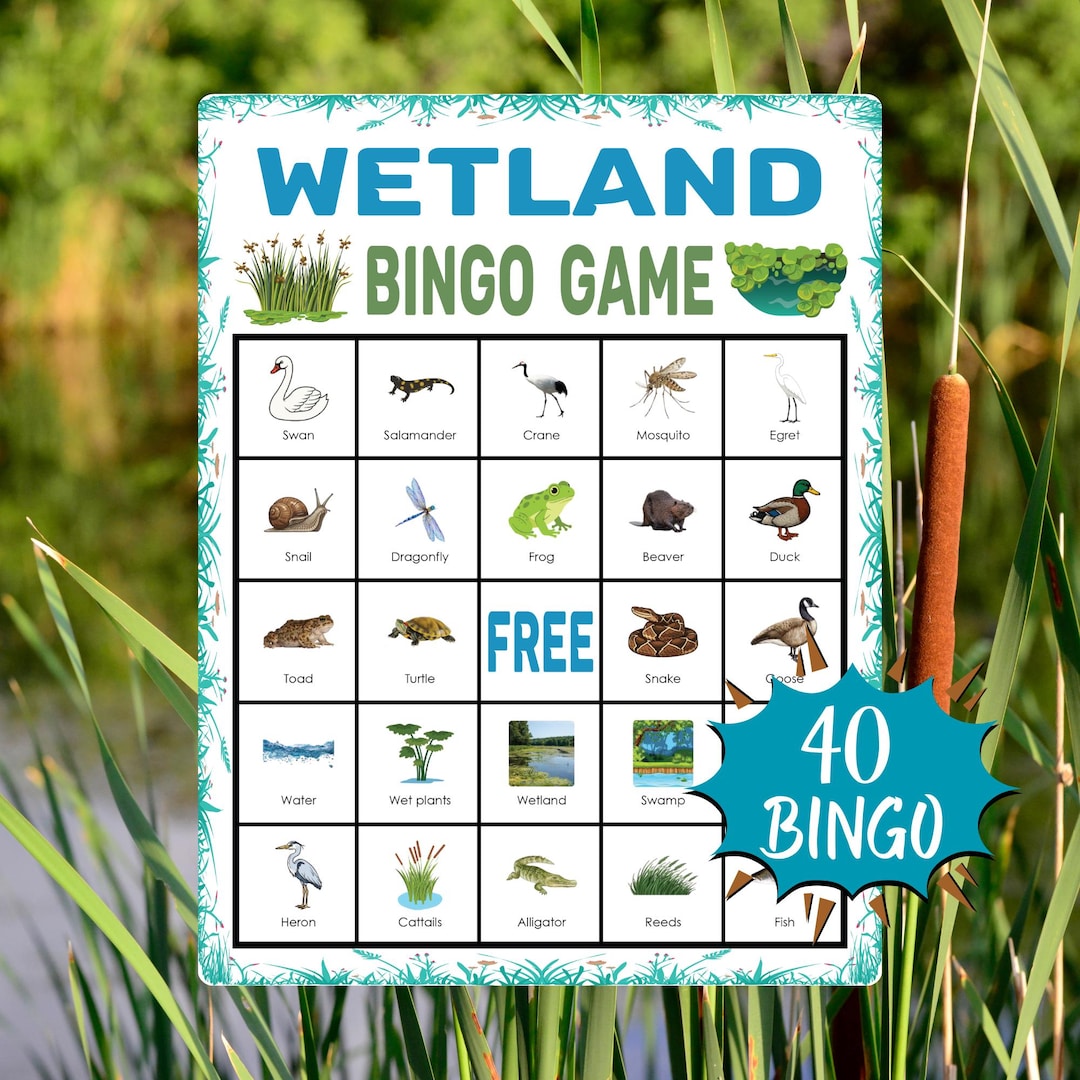 Wetland Bingo Game Printable Nature Activity for Kids Classroom ...