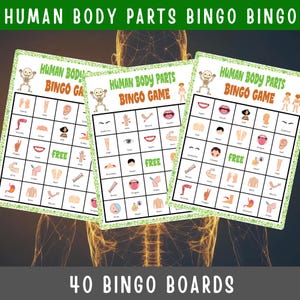 Human Body Parts Bingo Game | Anatomy Learning Activity for Kids ...