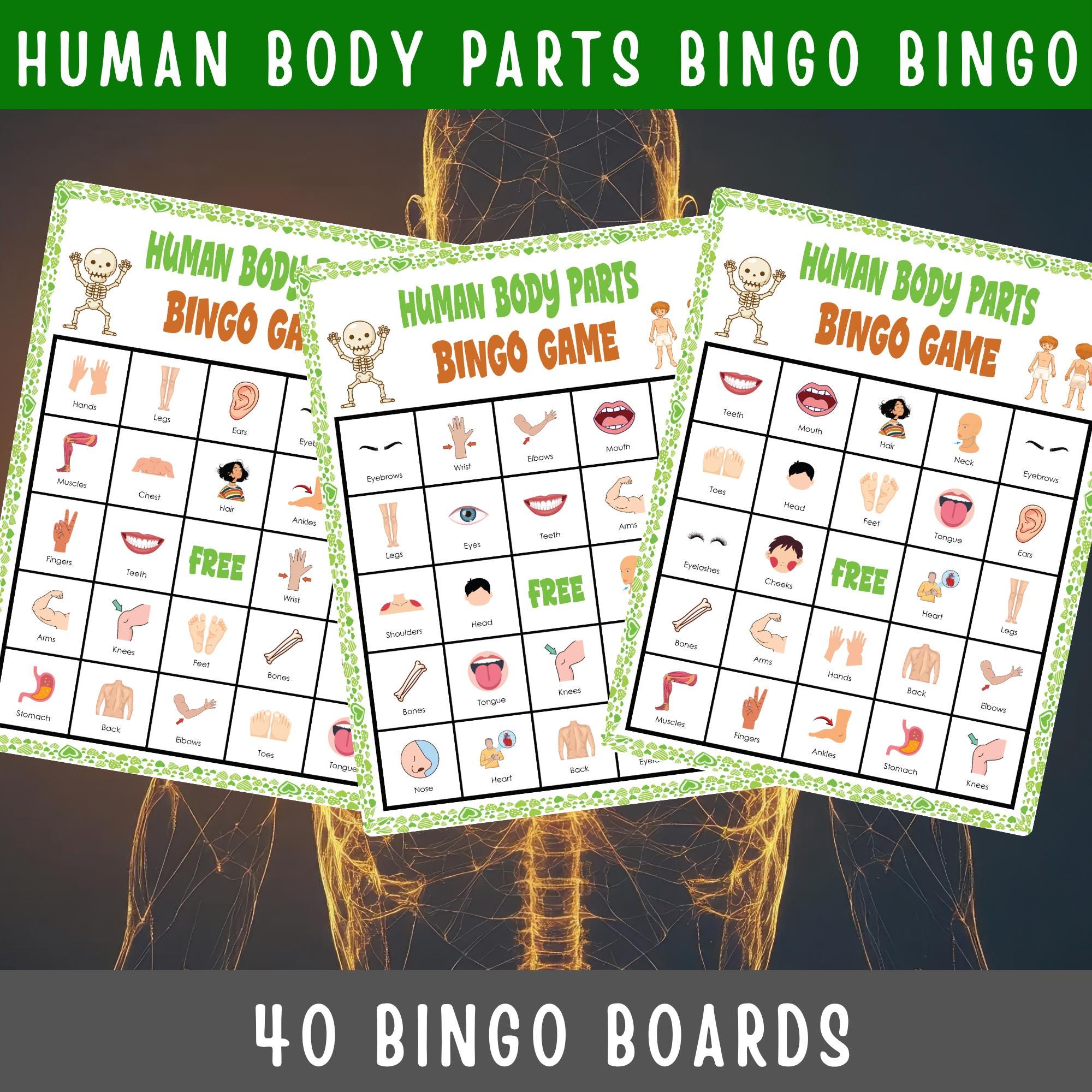 Human Body Parts Bingo Game | Anatomy Learning Activity for Kids ...