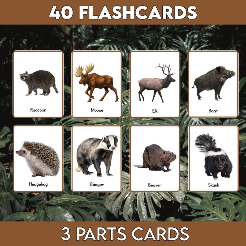 Forest Animals Flashcards Printable for Kids | Woodland Animal ...