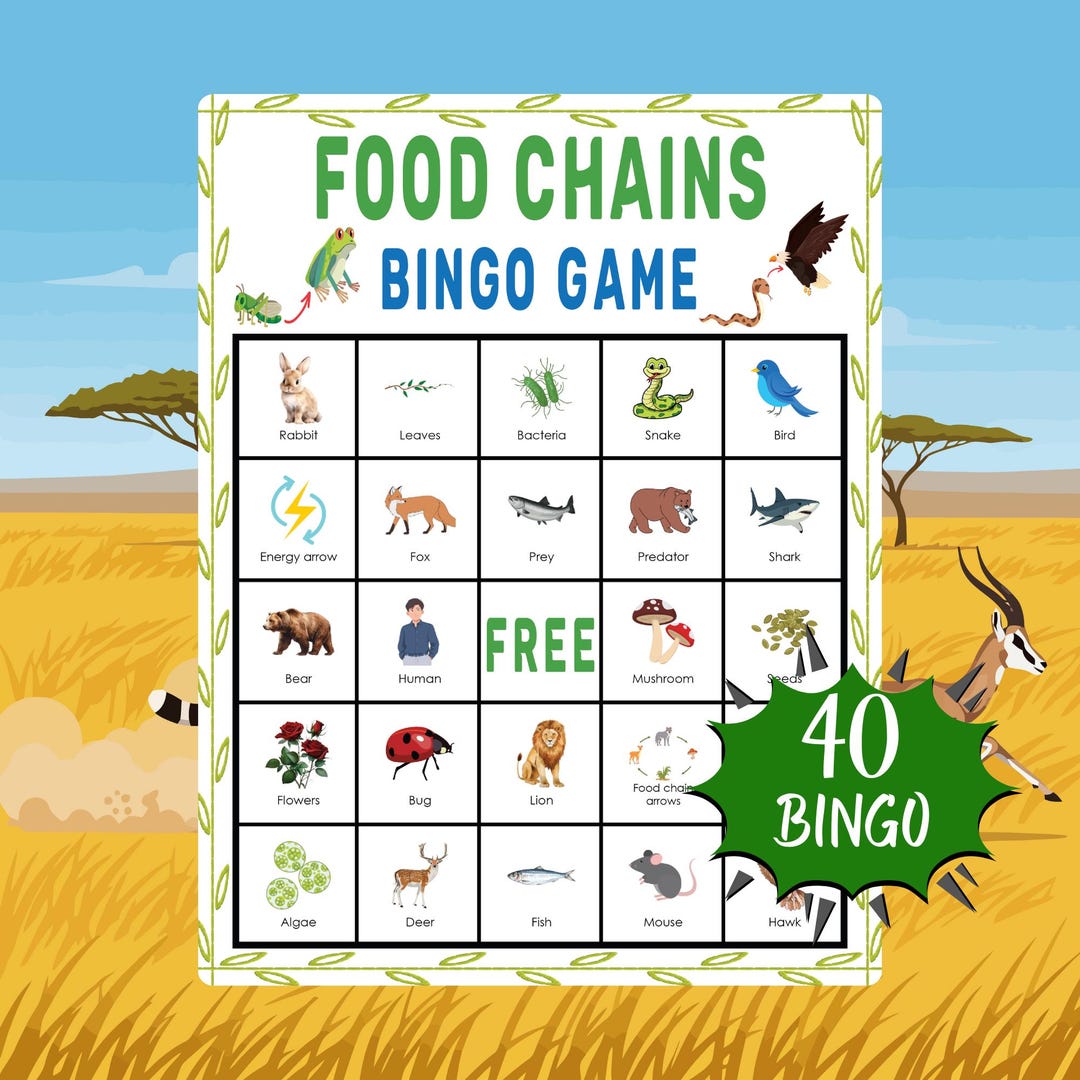 Food Chains Bingo Game | Printable Science Activity for Kids, Classroom ...
