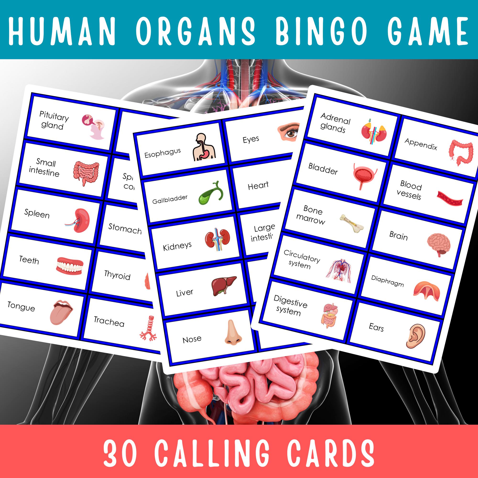 Human Organs Bingo Game Printable Anatomy Activity for Kids Classroom ...