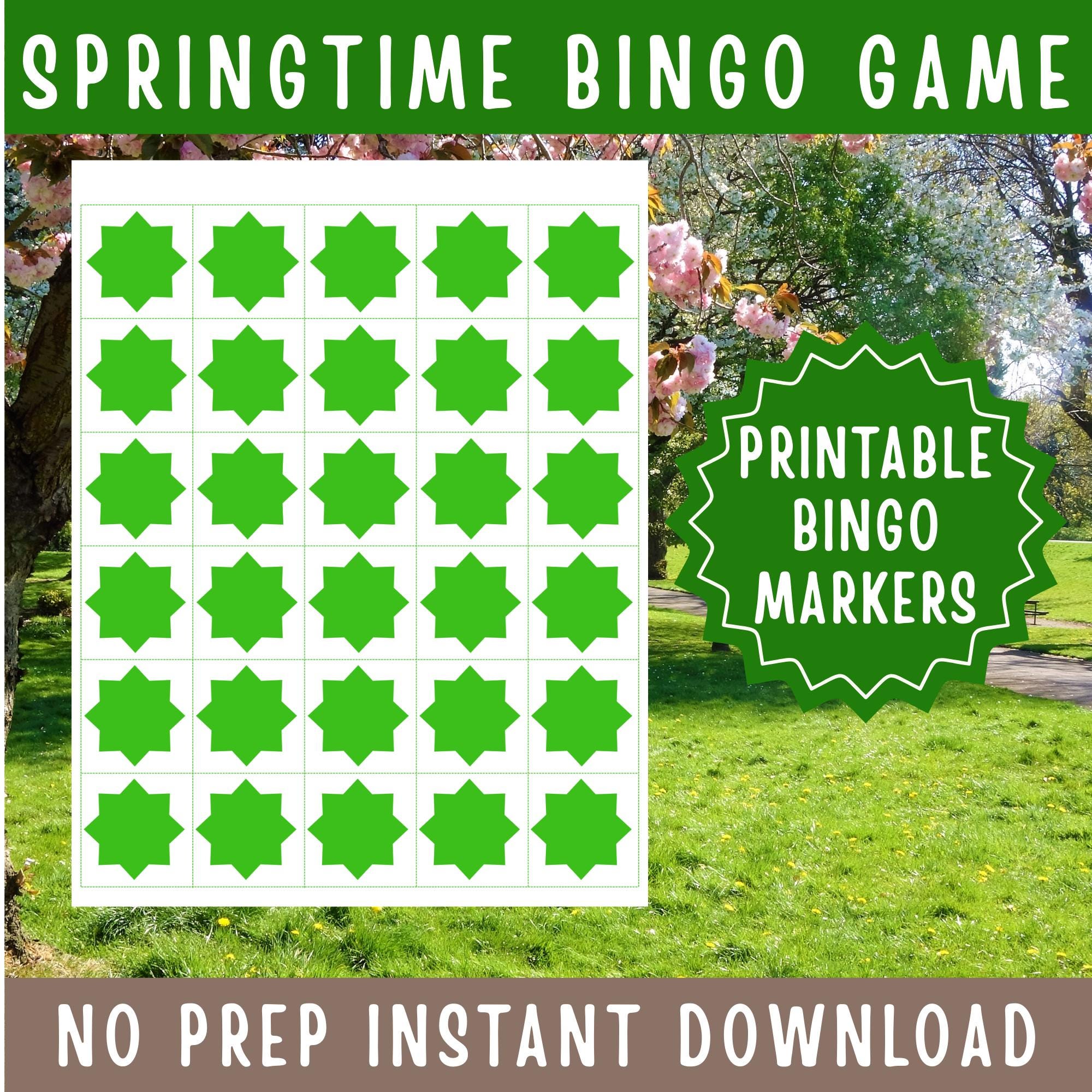 Springtime Bingo Game Printable Seasonal Nature Activity for Kids ...