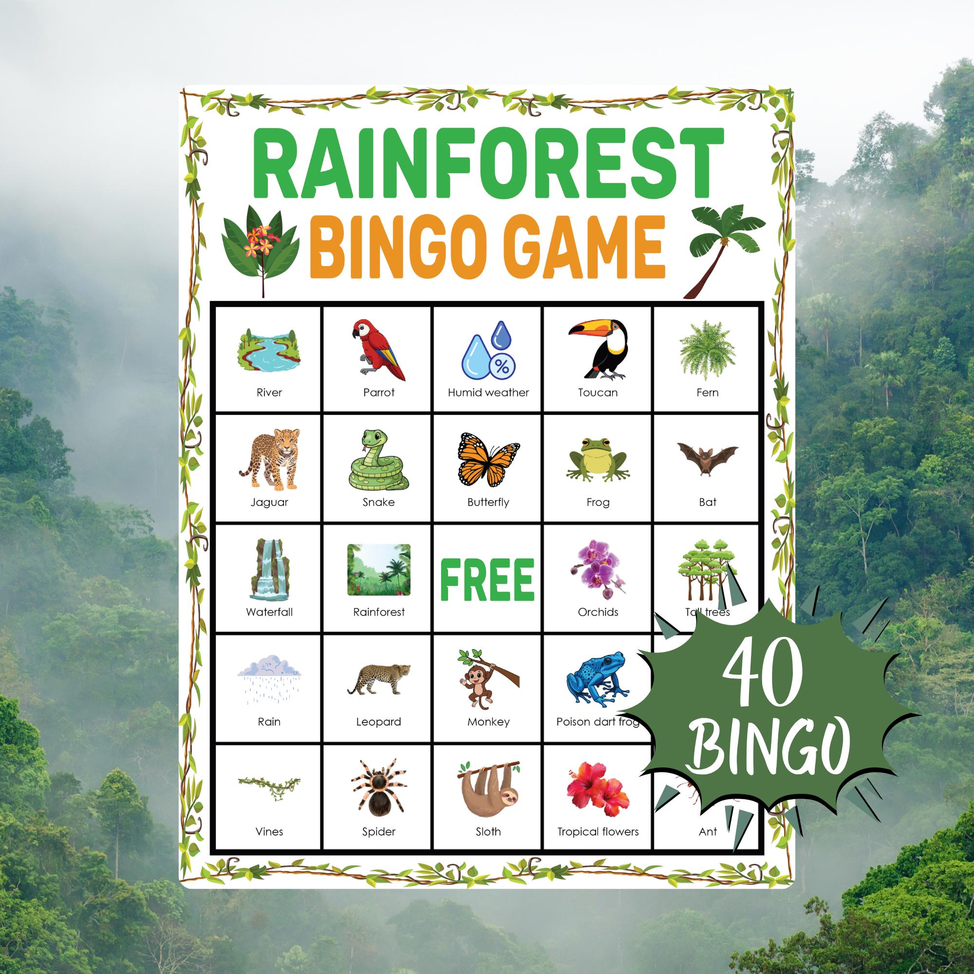 Rainforest Bingo Game Printable Jungle Activity for Kids Classroom ...
