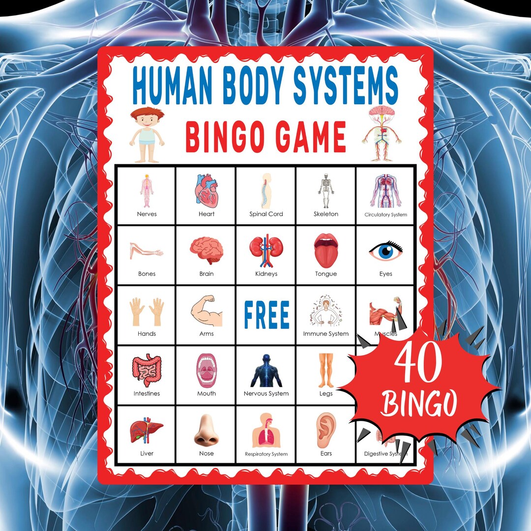 Human Body Systems Bingo Game | Printable Science Bingo Activity for ...