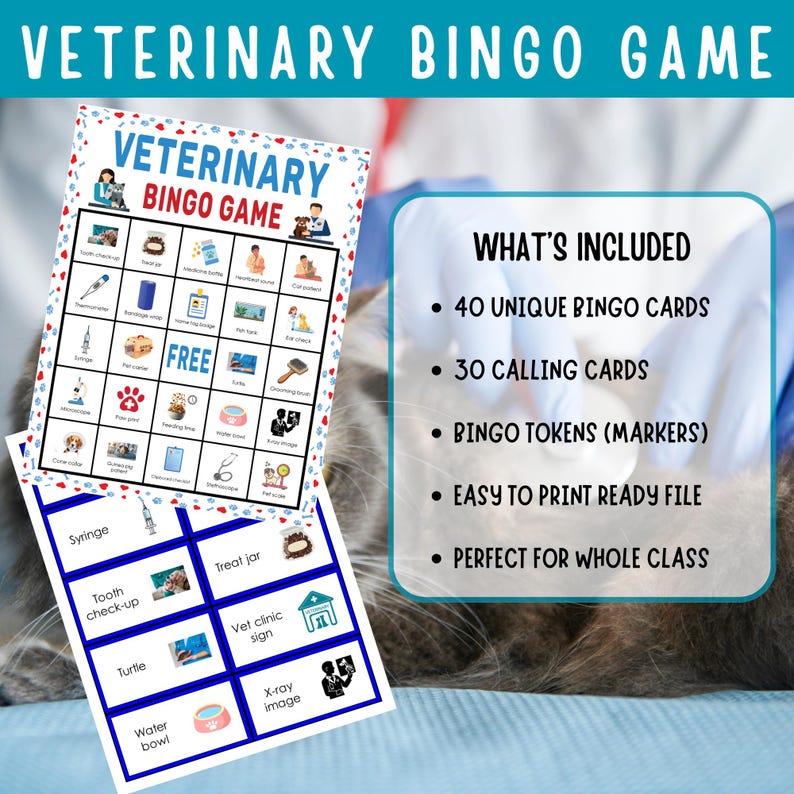 Veterinary Bingo Game Printable Animal Care Vet Clinic Activity for ...