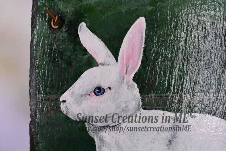 Rabbit, Rabbit Art, White Rabbit, Rex Rabbit, Rabbit Painting ...