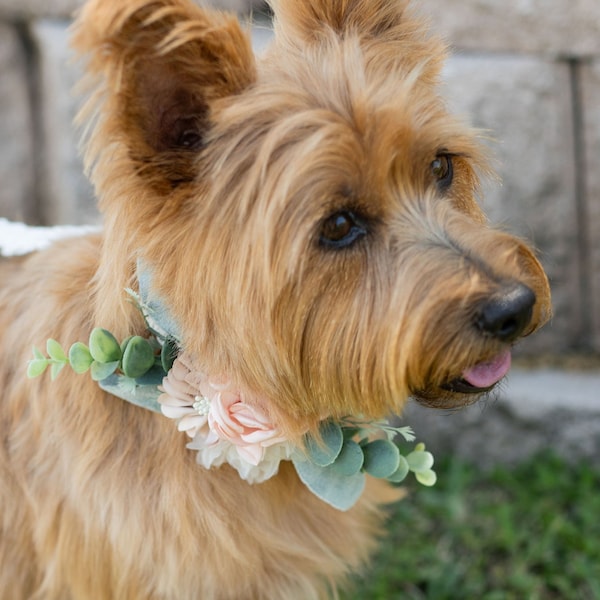 Dog Wedding Collar - Etsy