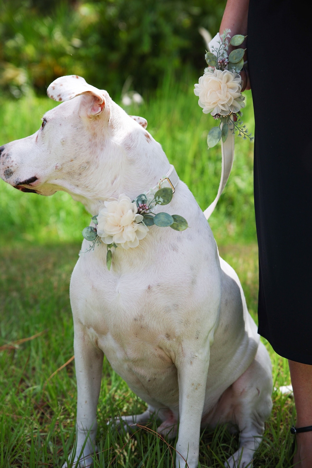 Floral Decor for Dog Wedding Collar | Floral Collar for Pet | Dog ...