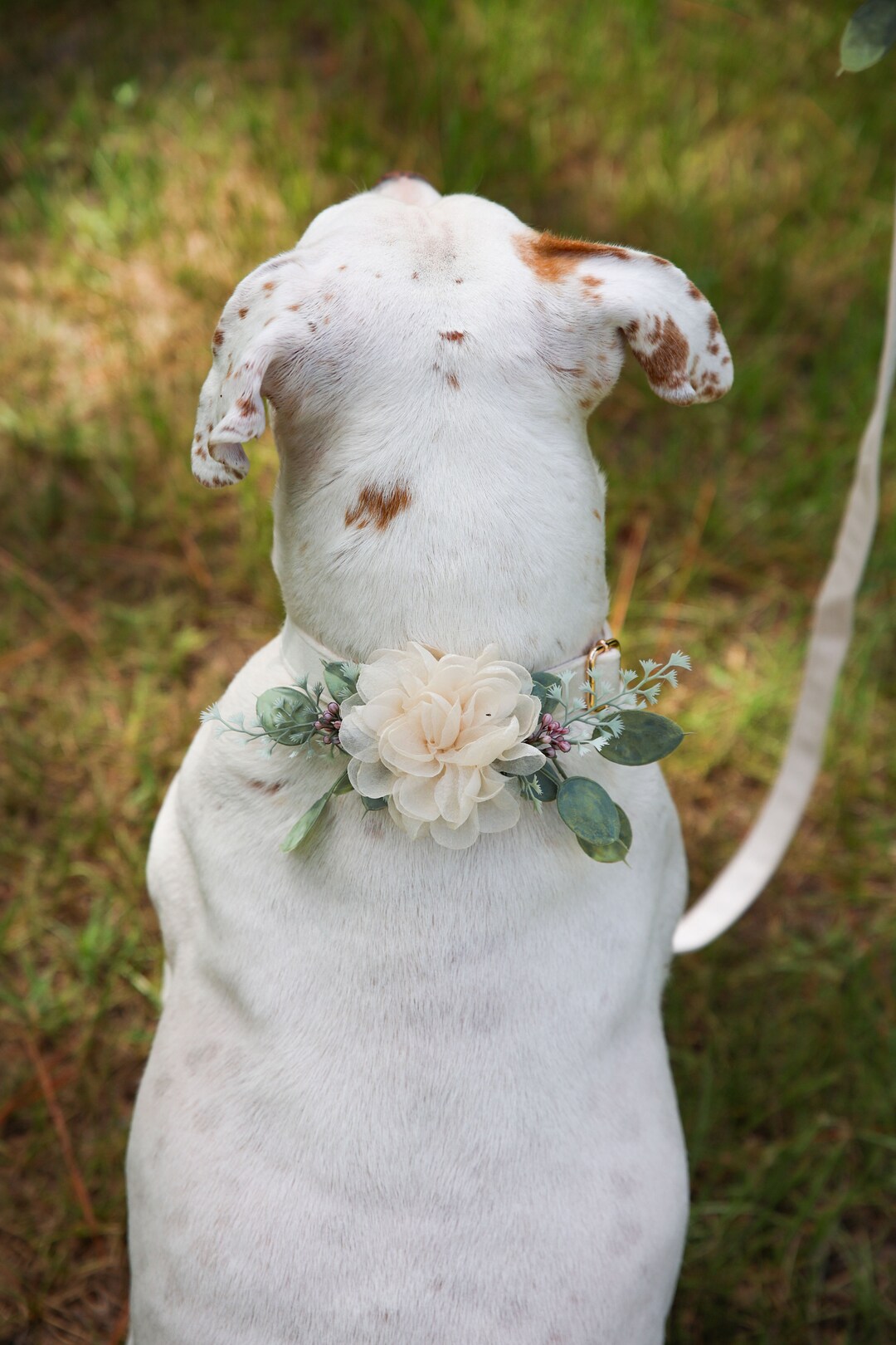 Floral Decor for Dog Wedding Collar Floral Collar for Pet Dog Wedding ...