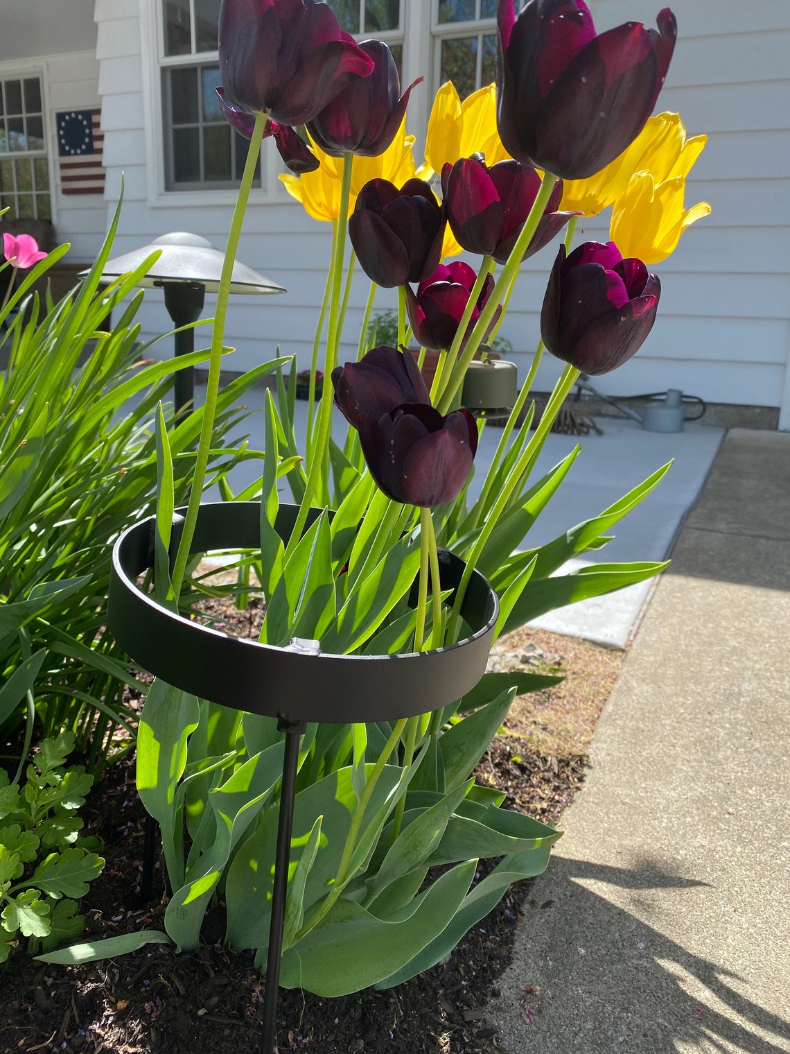 Small round plant support rings flower stakes | Etsy