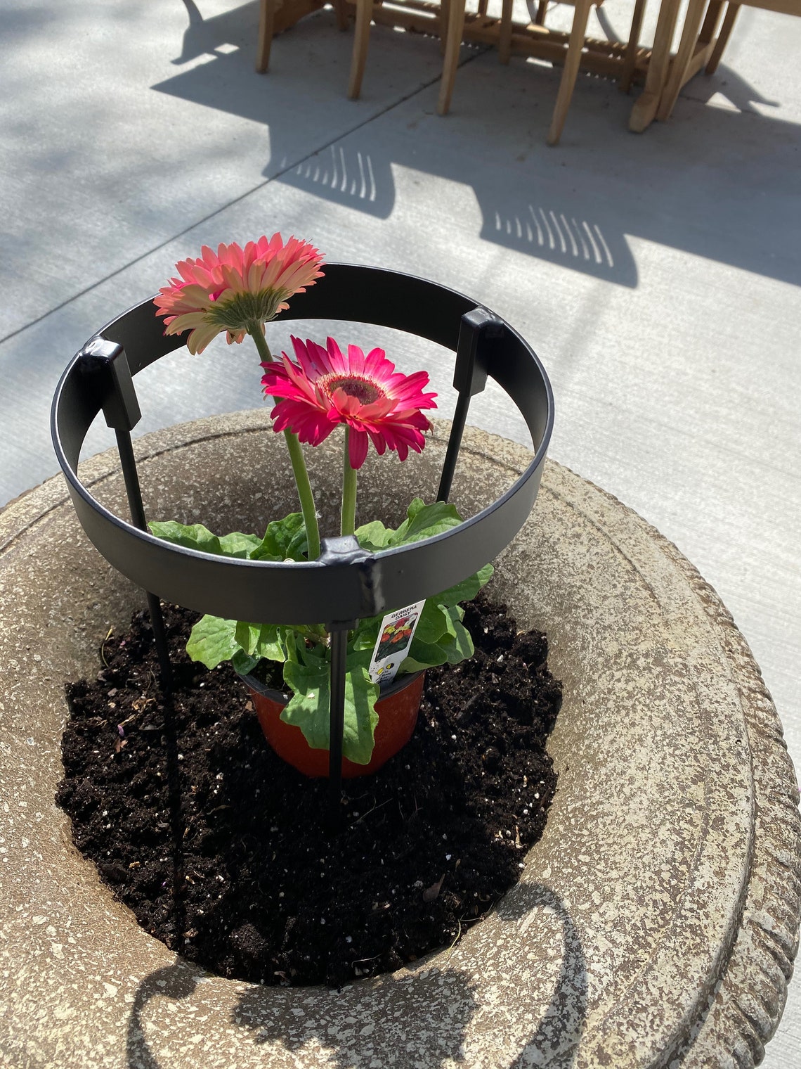 Small round plant support rings flower stakes | Etsy