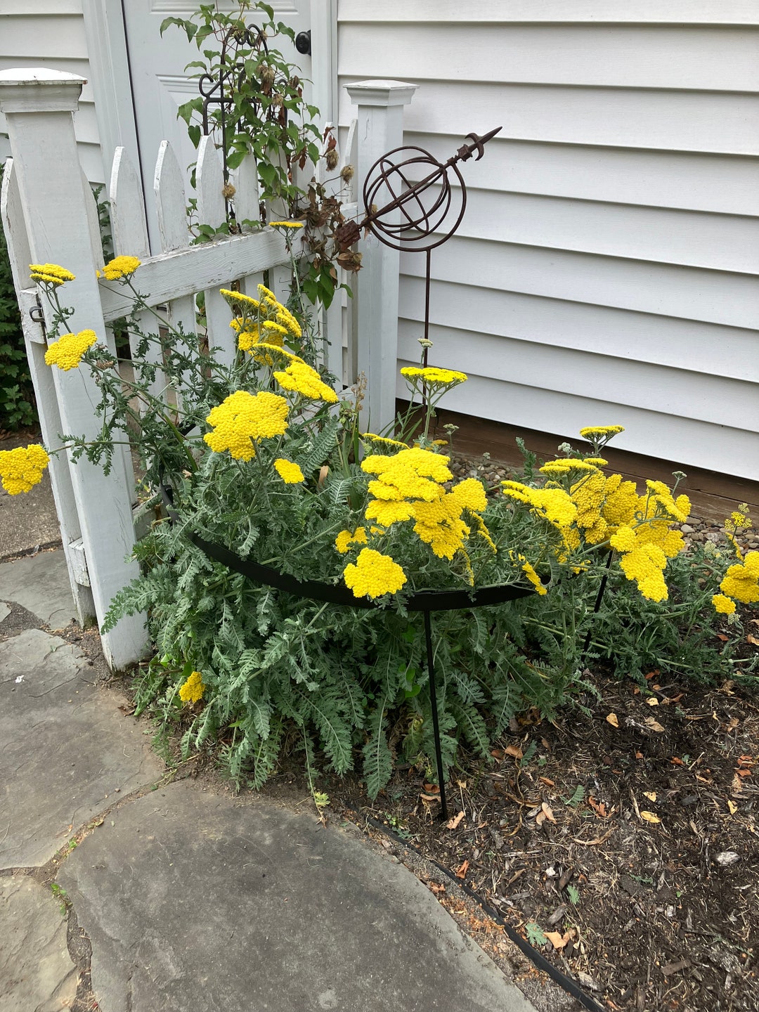 Half Round, Semi Circle Garden Stake, Plant Stake - Etsy