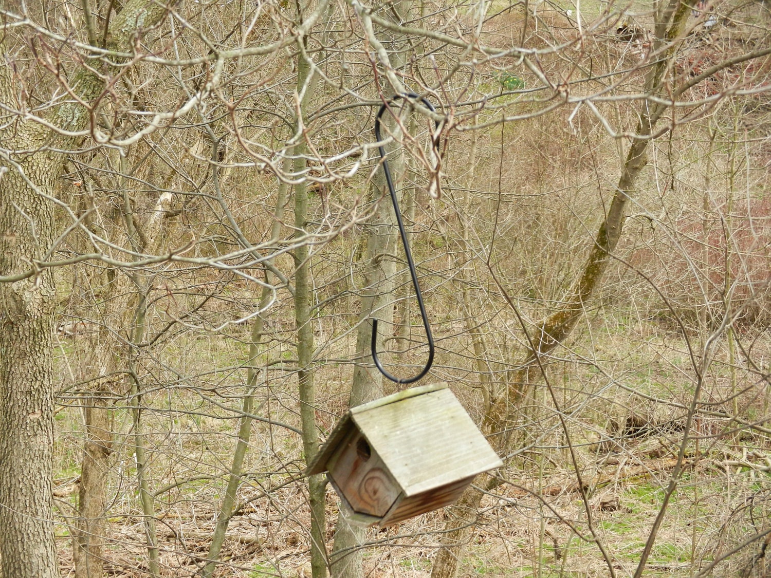 Hanging s Hooks Made to Order | Etsy