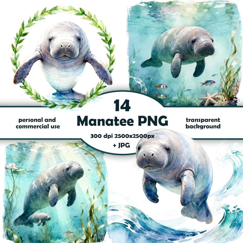 Manatee Watercolor - Etsy