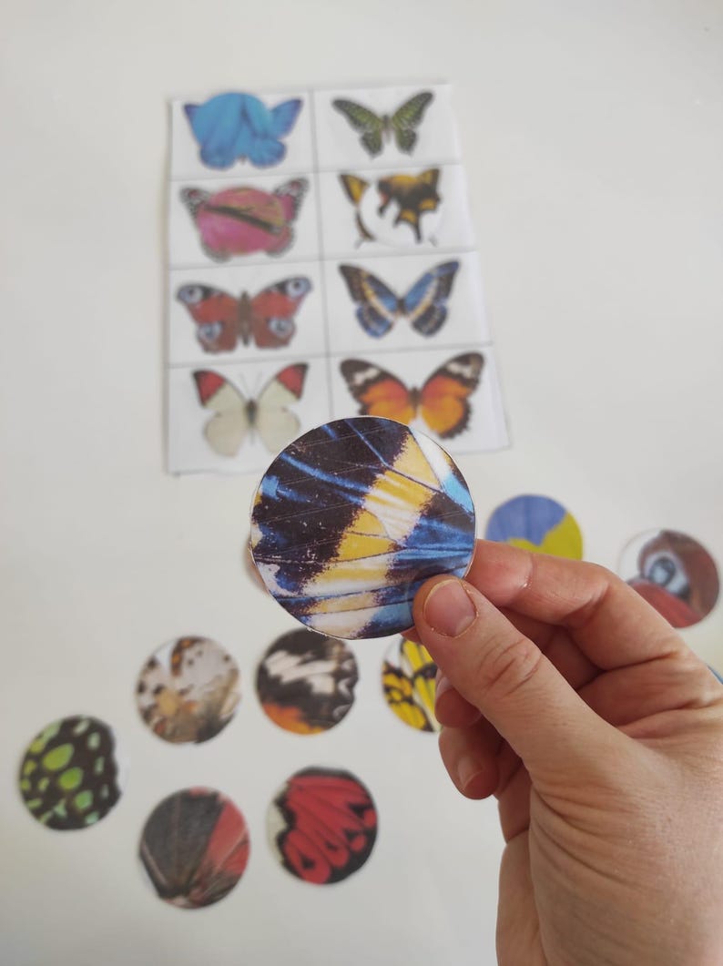 Butterfly Matching Game Printable PDF – Montessori Nature Activity for ...