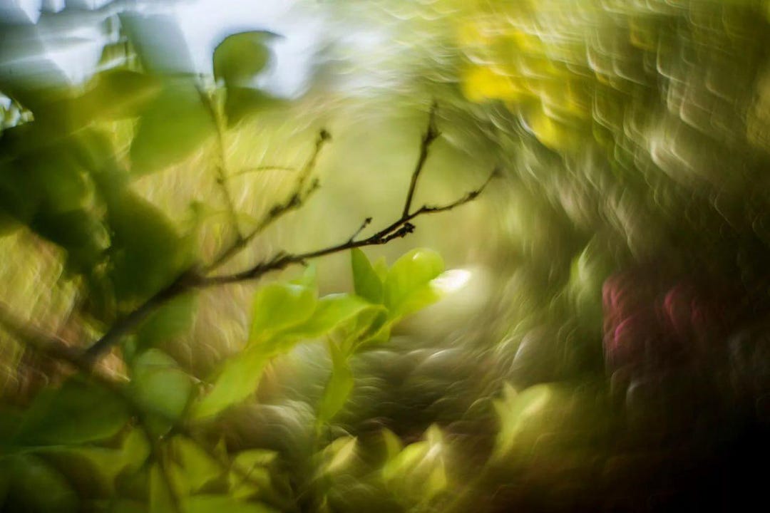 Helios 44-2 58mm F/2 Lens KMZ, M42 With Petzval Bokeh Effect - Etsy