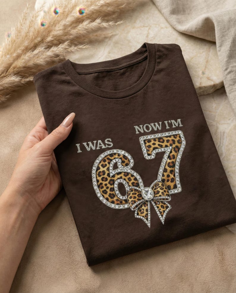 Funny 67 Meme PNG, I Was 6 Now I'm 7, 7 Year Old Birthday, I Was 6 Now ...