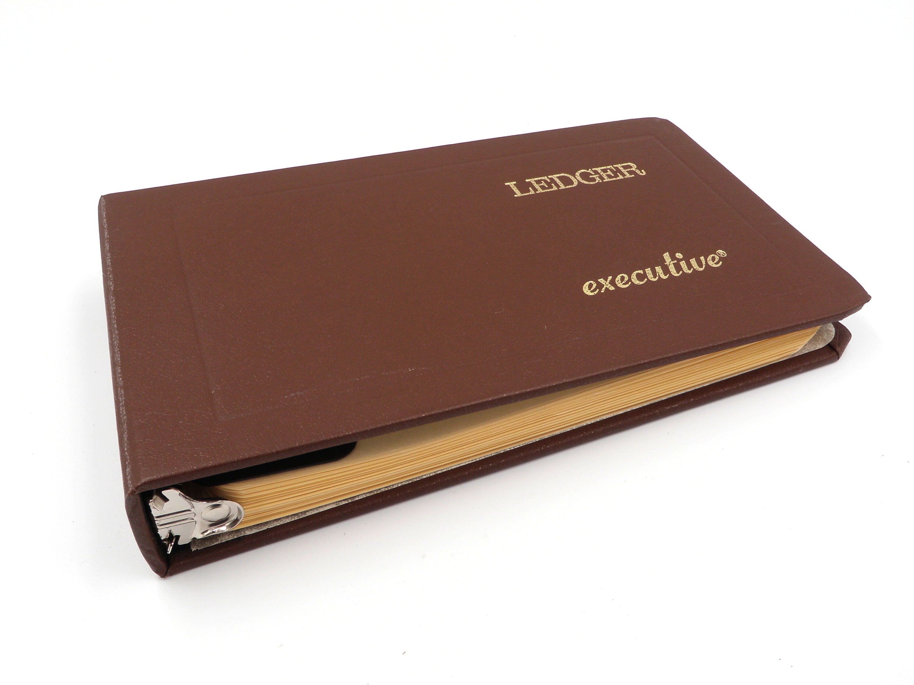 Ledger Book 4 Ring Binder Syuart Hall Brown W/ Pages and Dividers Gold ...