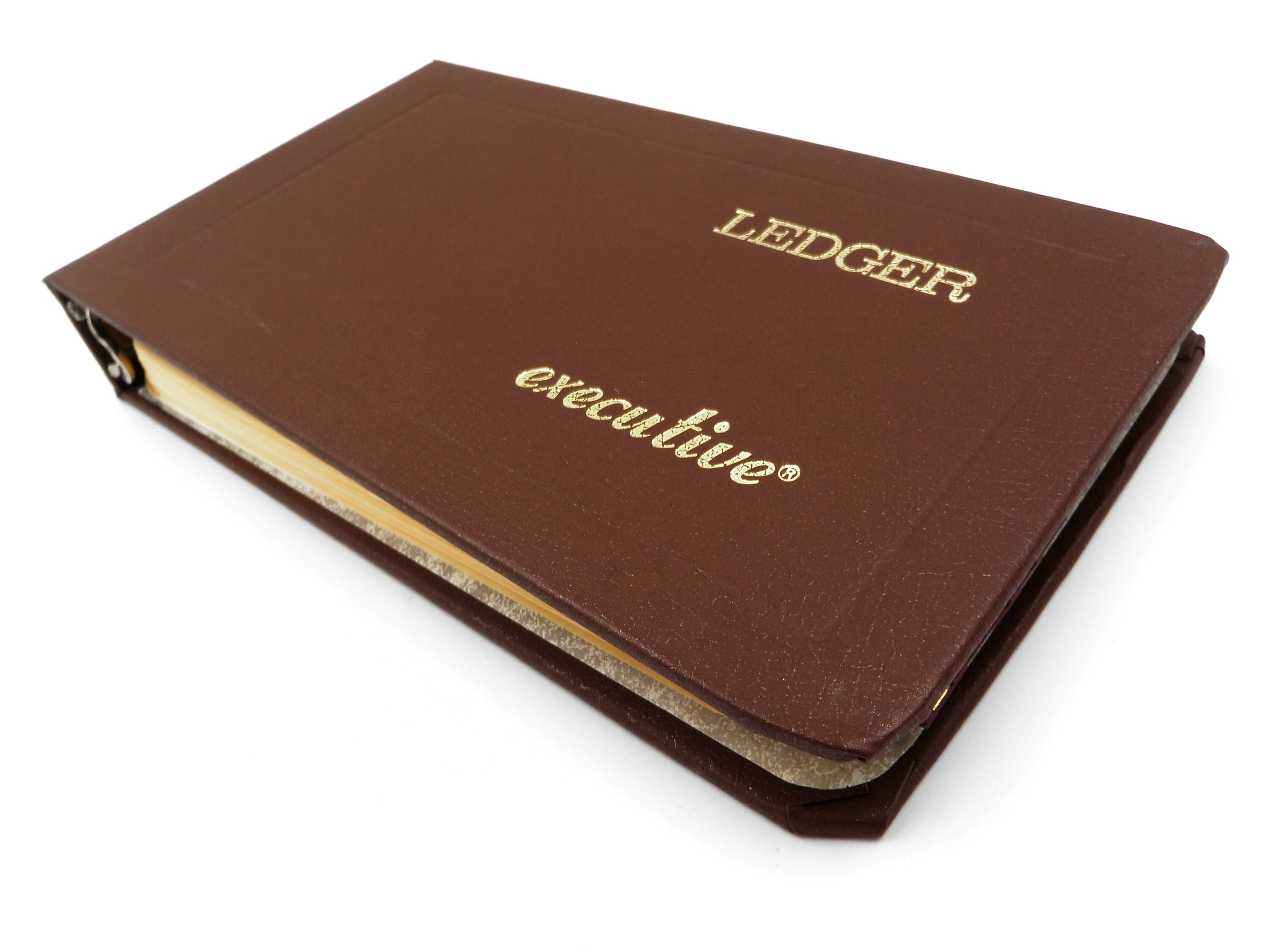 Ledger Book 4 Ring Binder Syuart Hall Brown W/ Pages and Dividers Gold ...