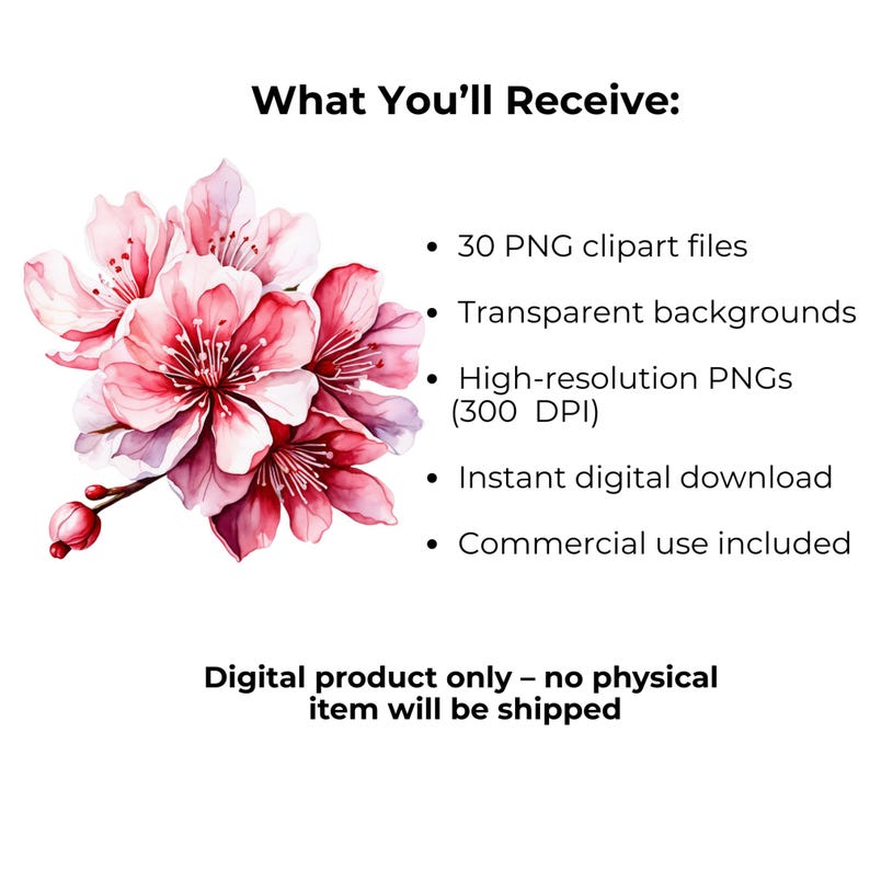 Cherry Blossom Clipart: Watercolor Floral PNG Set (digital Download ...